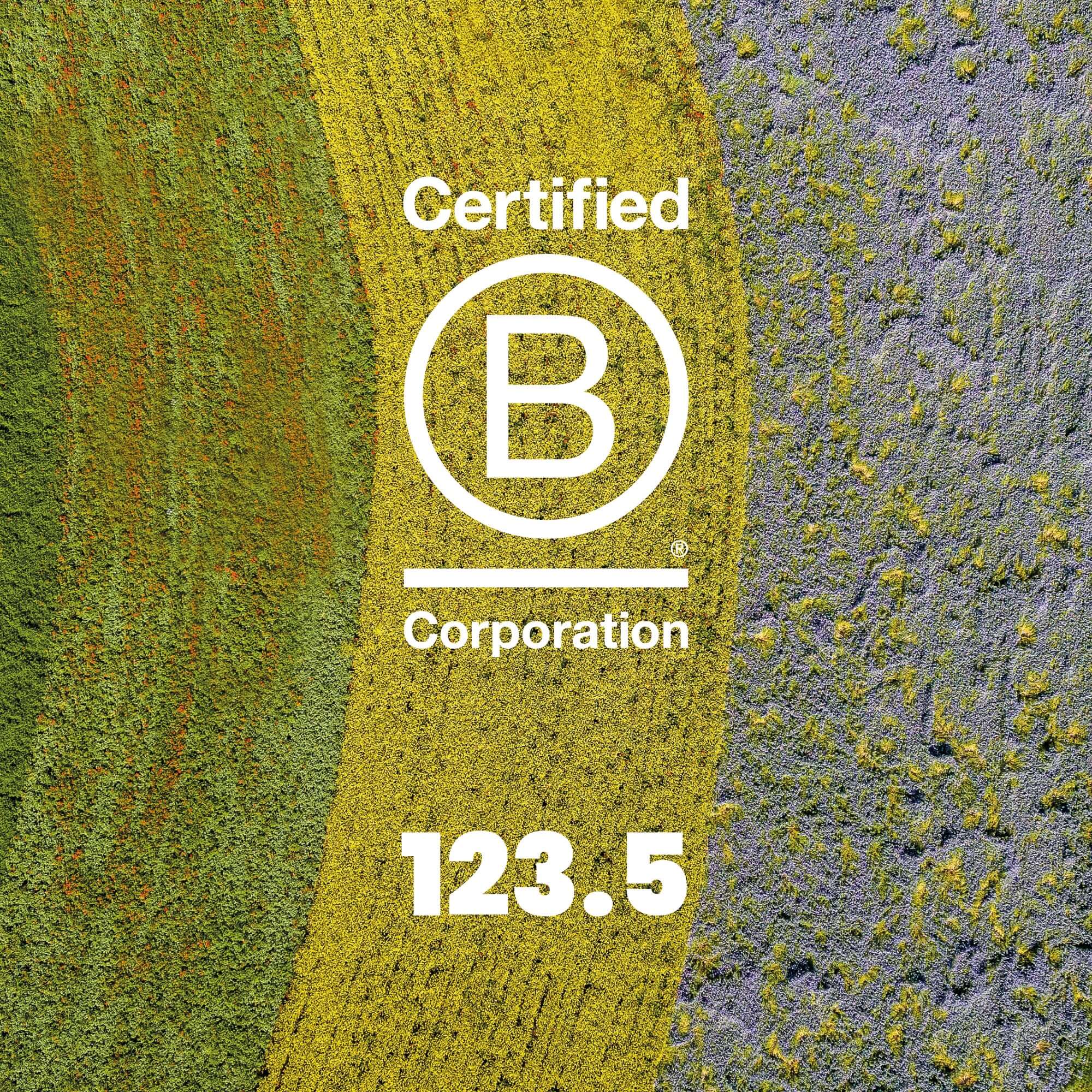 Davines Deutschland - Sustainable Beauty für Dein Haar